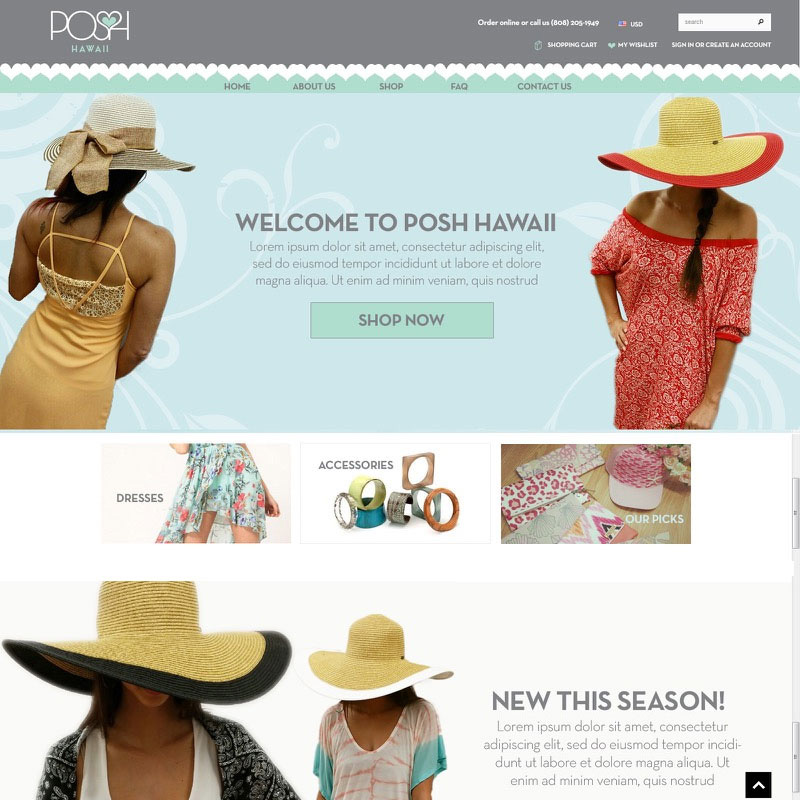 Website Design Hawaii | Web Development Company Honolulu